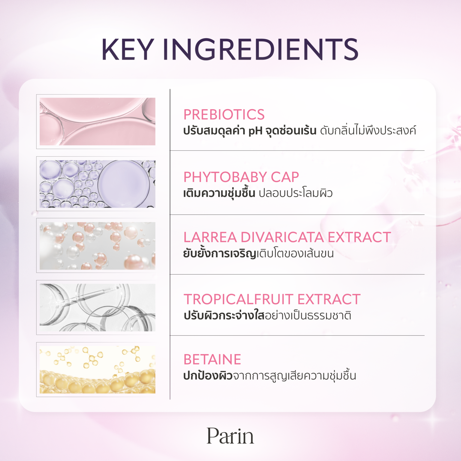 Parin Repairing Bikini Mask - Parin Thailand